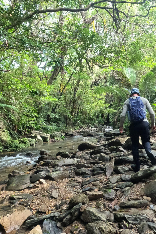 Okinawa: Jungle Trek and Waterfalls: private tour in Yanbaru - A Closer Look at the Experience
