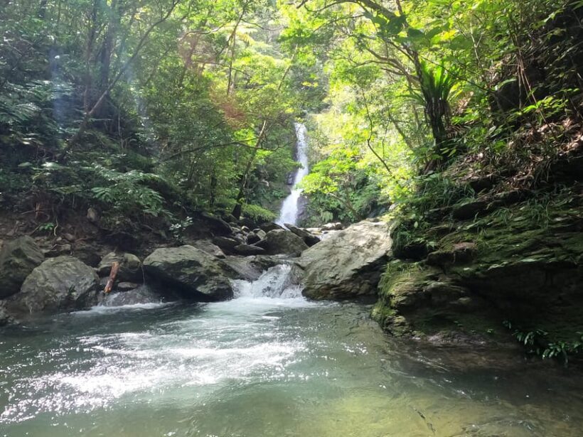Okinawa: Jungle Trek and Waterfalls: private tour in Yanbaru - Analyzing the Value
