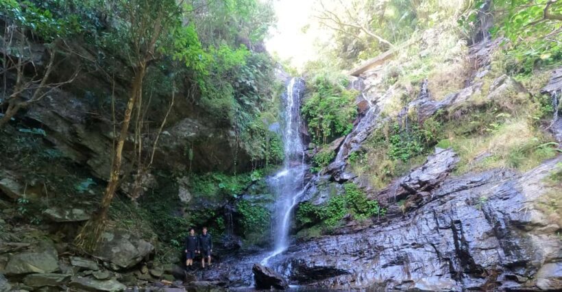 Okinawa: Jungle Trek and Waterfalls: private tour in Yanbaru - FAQ