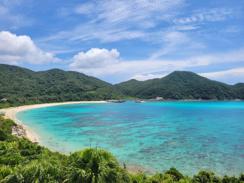 Okinawa: Kerama, Tokashiki Island and Whale Watching Tour - Itinerary Highlights