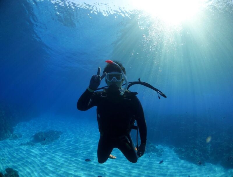 Okinawa: Kerama, Tokashiki Island and Whale Watching Tour - Customer Feedback