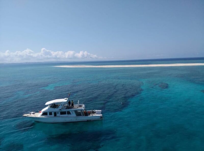 Okinawa : Kerama Whole Day Snorkeling Tour From Chatan - Key Points