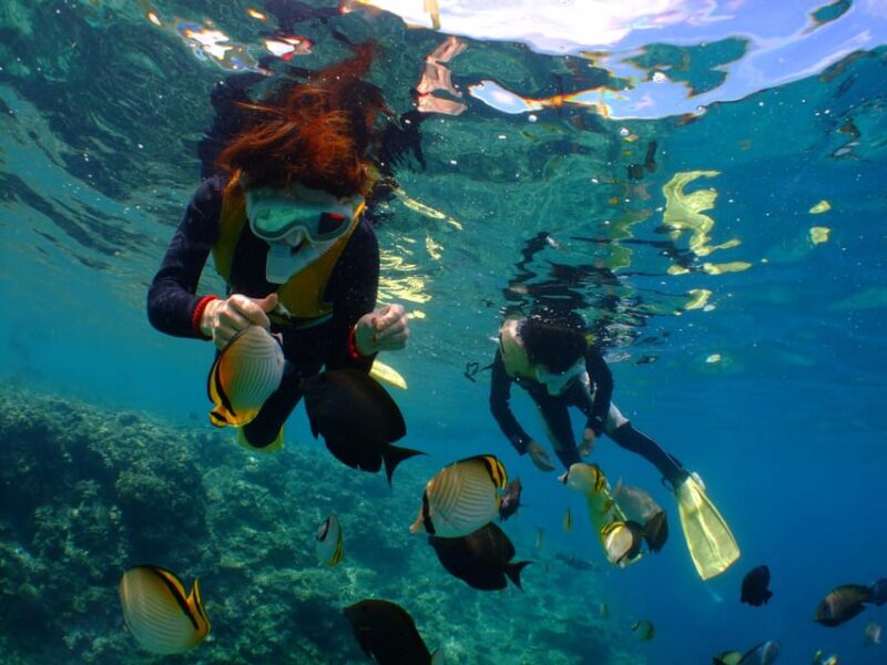 Okinawa : Kerama Whole Day Snorkeling Tour From Chatan - Encountering Colorful Marine Life