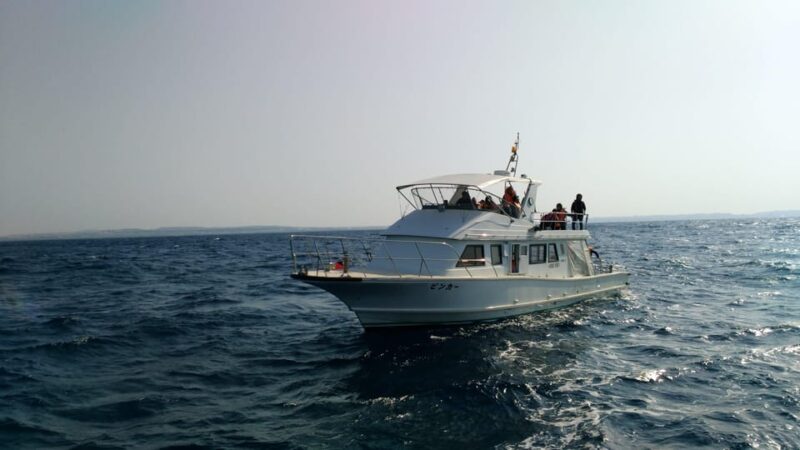 Okinawa : Kerama Whole Day Snorkeling Tour From Chatan - Snorkeling Experience From the Boat