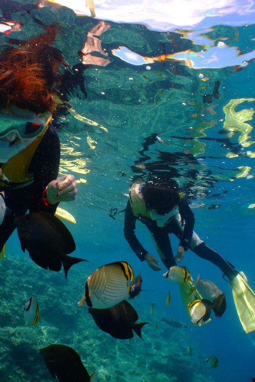 Okinawa : Kerama Whole Day Snorkeling Tour From Chatan - Frequently Asked Questions