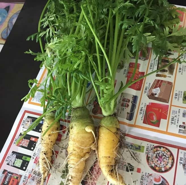 Okinawa: Market Tour and Cooking Class with a Chef - Key Points