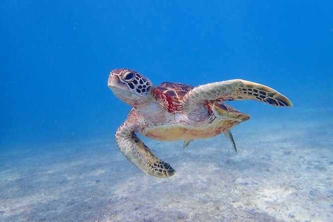 Okinawa Miyako 3set Beach SUP, Snorkeling, Pumpkin Cave,Canoeing - Highlights of the Okinawa Miyako Experience