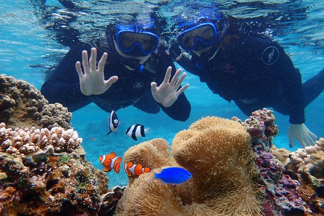 Okinawa Miyako Beach SUP or Canoe and Tropical Snorkeling - Exploring Miyakojima Island