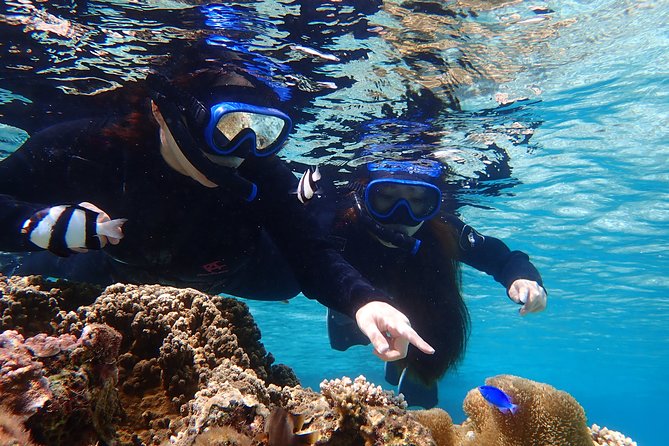 Okinawa Miyako Pumpkin Limestone Caving and Sea Turtle Snorkeling - Participation Requirements and Restrictions