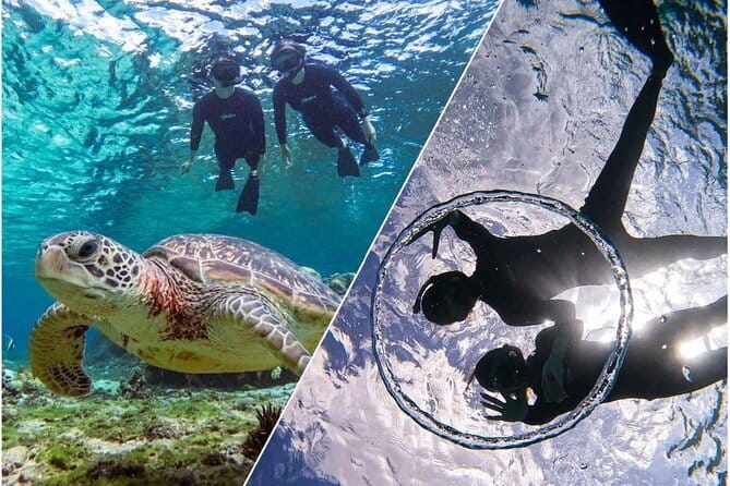 Okinawa Miyako Sea turtle Snorkeling Free Pick up and Drop off - The Itinerary: What You Can Expect