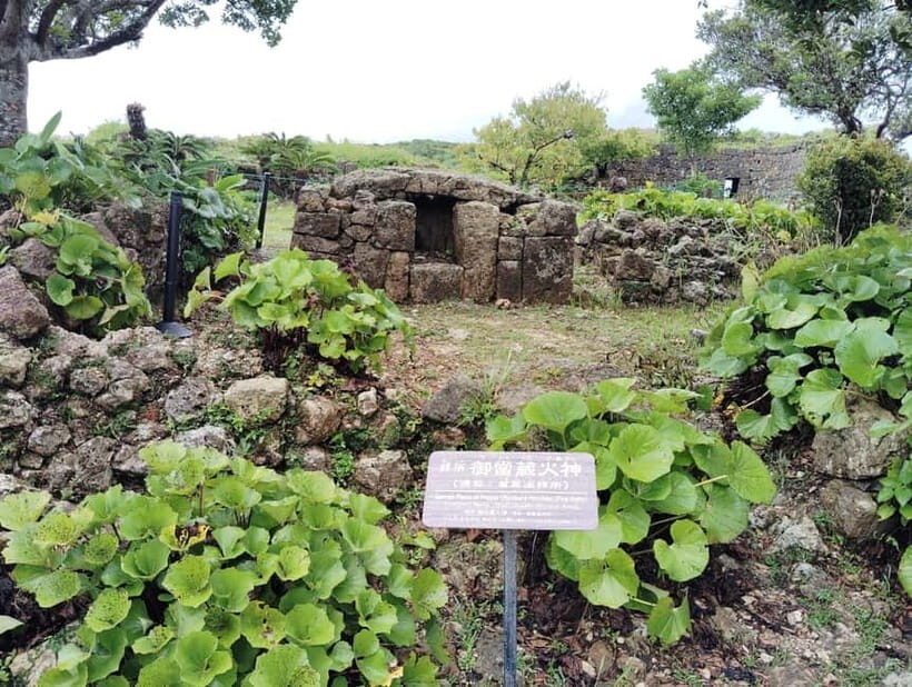 Okinawa: Nakagusuku Castle Views and Legends Tour (1.5h) - The Value of a Short but Deep Tour