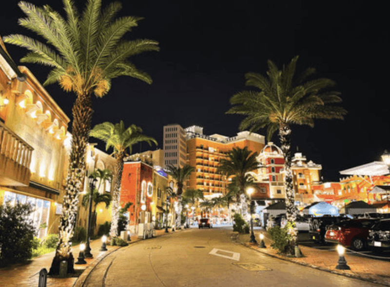 Okinawa Private Custom Tour With Local Guide - Highlights and Activities