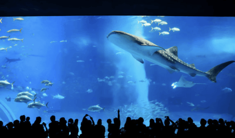 Okinawa Private Custom Tour With Local Guide - Chatan Area Exploration