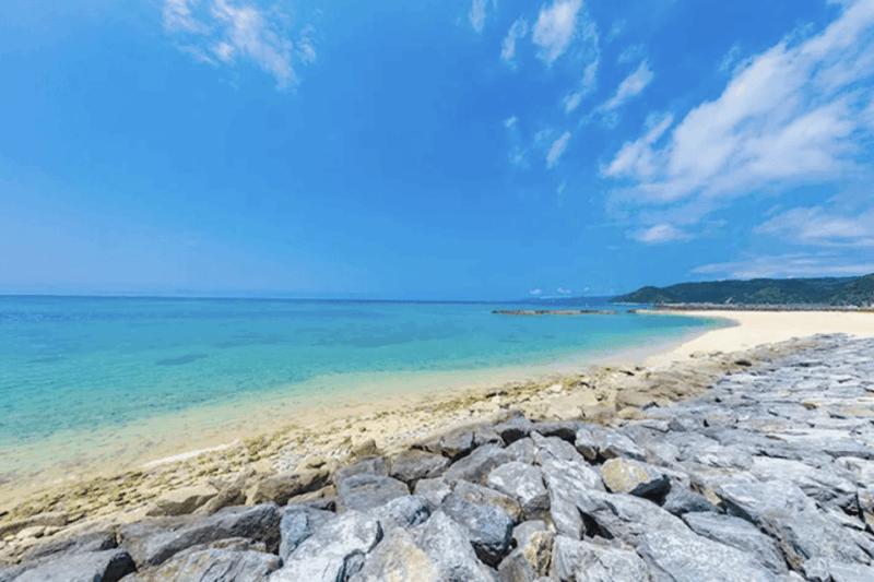 Okinawa Private Custom Tour With Local Guide - Okinawas Laid-back Atmosphere and Cultural Highlights