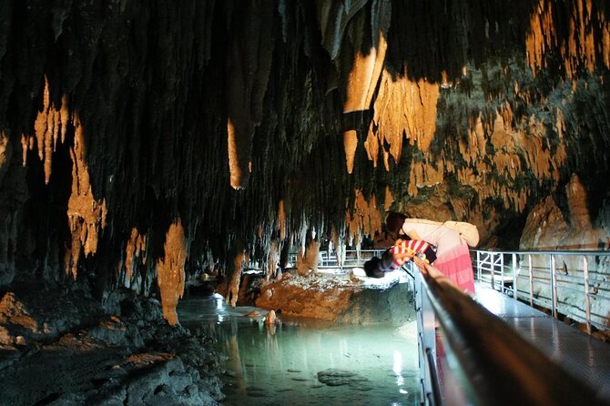 Okinawa Private Customizable Full Day Tour by Private Vehicle - Tour Inclusions and Logistics