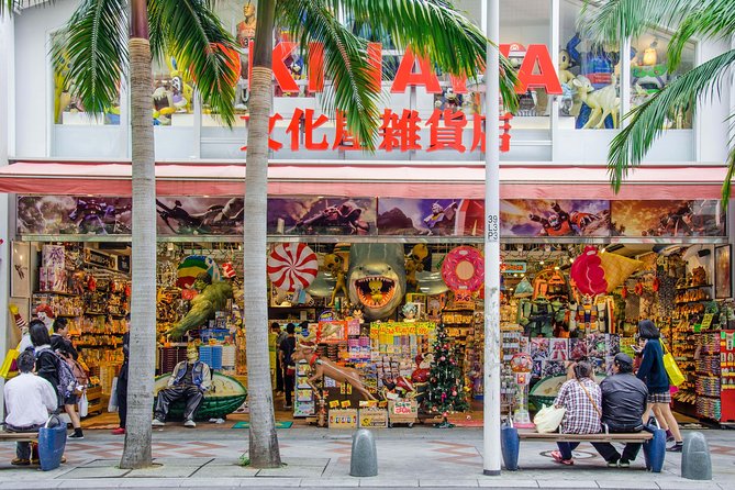 Okinawa Private Customizable Full Day Tour by Private Vehicle - Booking and Cancellation Policies