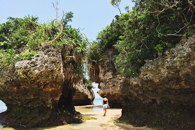 Okinawa Private Customizable Full Day Tour by Private Vehicle - Additional Information and Accessibility