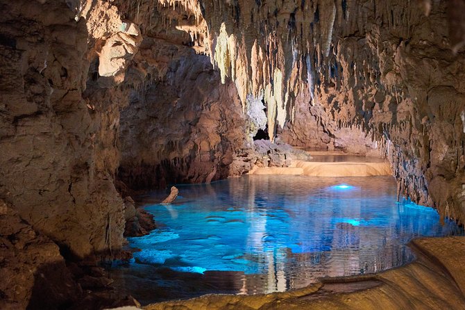 Okinawa Private Customizable Full Day Tour by Private Vehicle - Highlights of the Tour