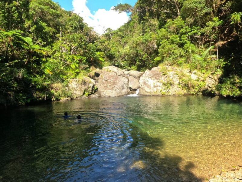 Okinawa: Private Georgeous Beach & Snorkel Tour - Preparation and Safety