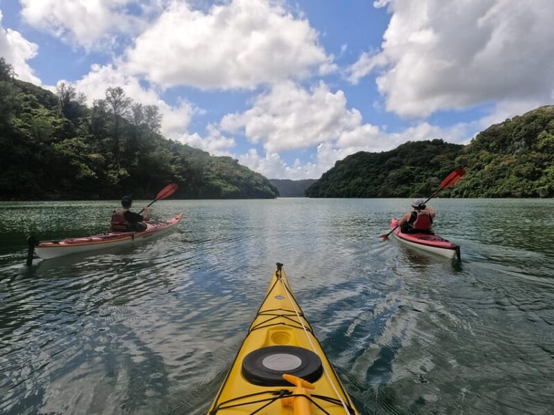 Okinawa: Private Kayak Mangrove or Reef With Native English - Key Points
