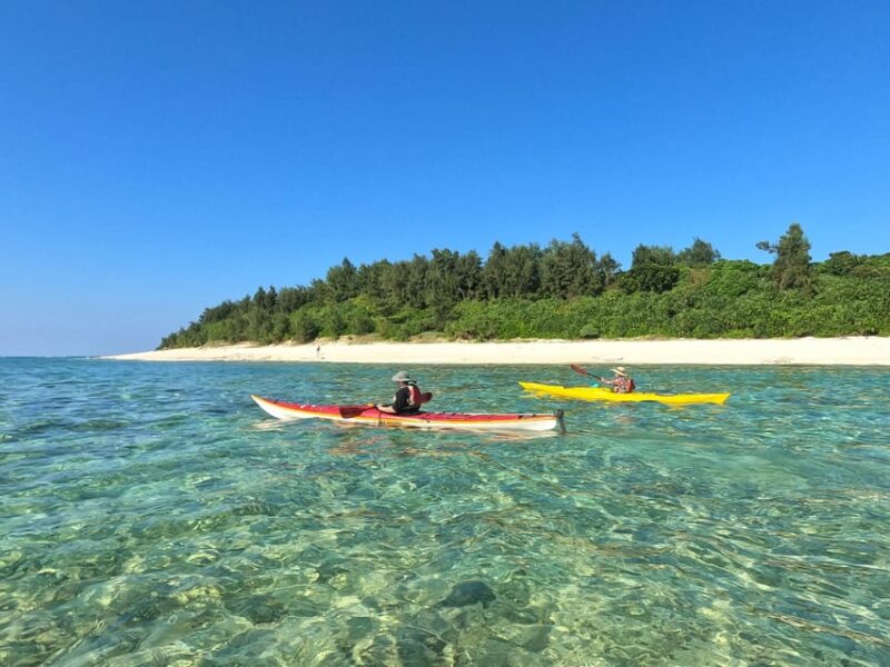 Okinawa: Private Kayak Mangrove or Reef With Native English - Itinerary and Experience