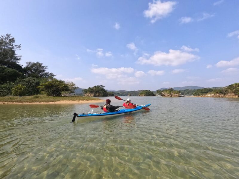Okinawa: Private Kayak Mangrove or Reef With Native English - Inclusions