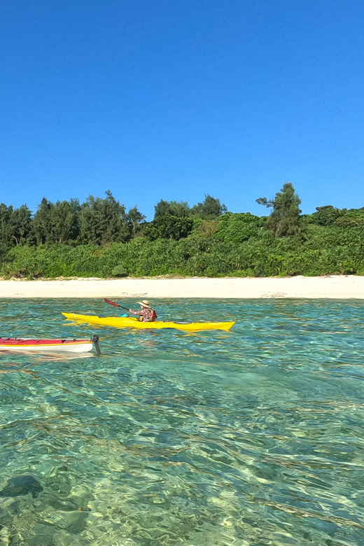 Okinawa: Private Kayak Mangrove or Reef With Native English - What to Bring and Important Notes