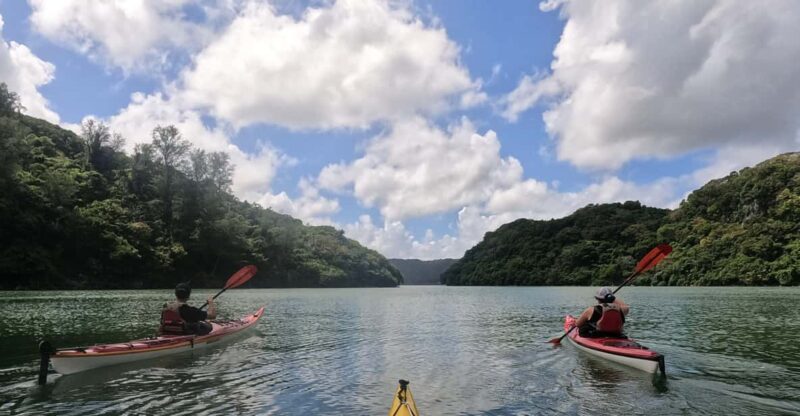 Okinawa: Private Kayak Mangrove or Reef With Native English - Customer Reviews and Ratings
