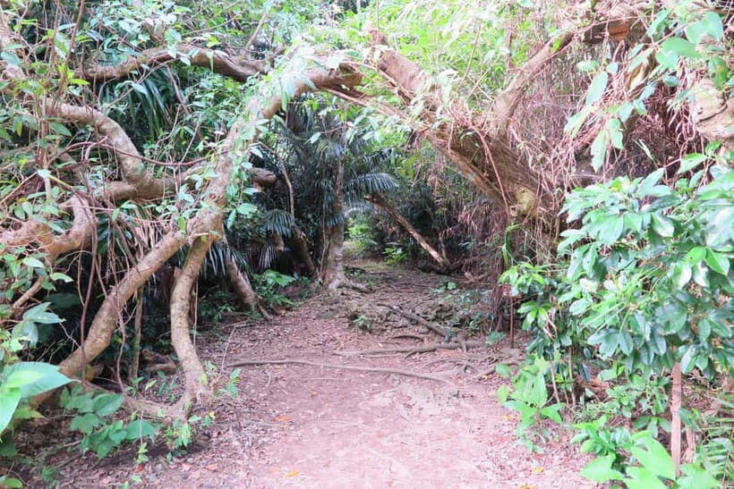 Okinawa: Sacred Island Tour to Kudakas Ryukyuan Holy Sites - Who Should Consider This Tour?