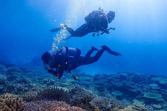 Okinawa Scuba Diving for Certified Divers (3 Boat Dives + Lunch) - Schedule