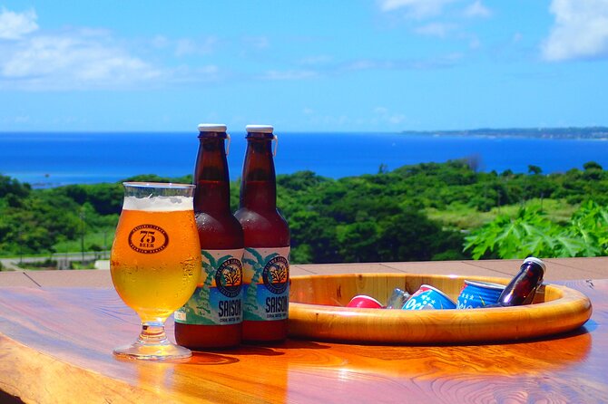 Okinawa Scuba Diving for Certified Divers (3 Boat Dives + Lunch) - Booking and Cancellation