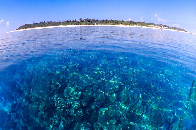 Okinawa: Scuba Diving Tour With Wagyu Lunch and English Guide - Culinary Delight: Wagyu Beef BBQ Lunch