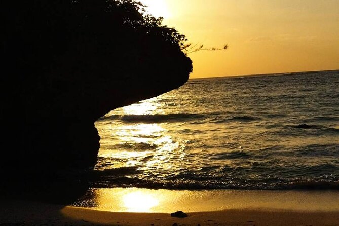 Okinawa Sightseeing Bus Tour - Tour Supplier and Review Integrity