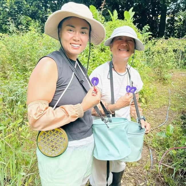 Okinawa: Traditional farming experience & cooking and a meal - The Experience in Practice: What to Expect