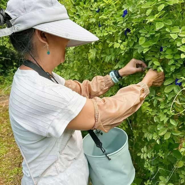 Okinawa: Traditional farming experience & cooking and a meal - FAQs