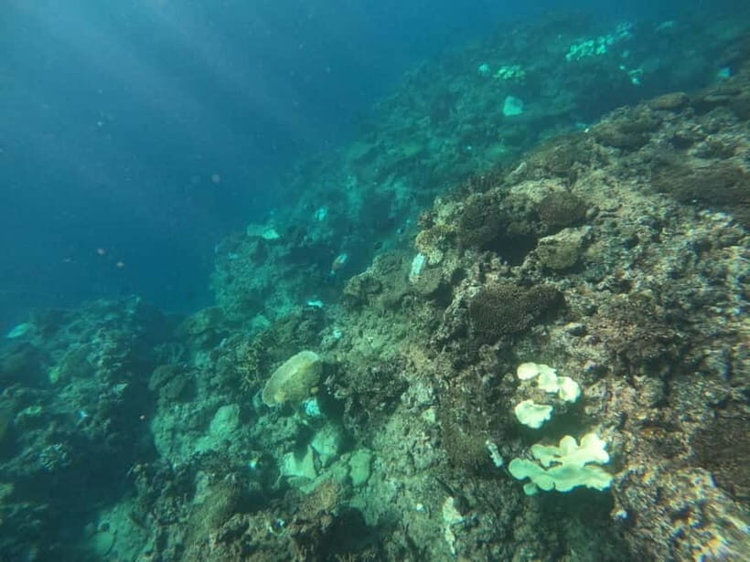 Okinawa: West Coast Stand-Up Paddleboarding Experience - In Summary