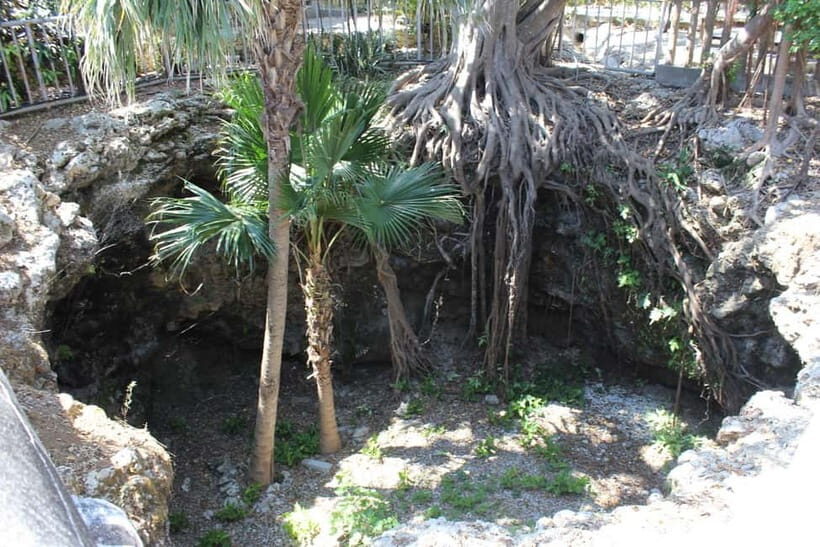 Okinawa: WWII Himeyuri Memorial & Peace Museum Guided Tour - Key Points