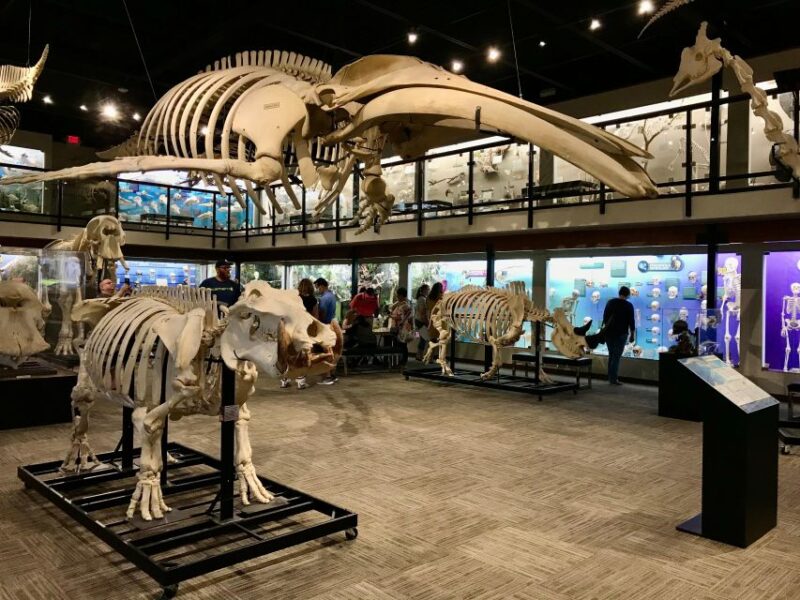 Oklahoma City: SKELETONS: Museum of Osteology Ticket - Why This Museum Is Worth Your Time