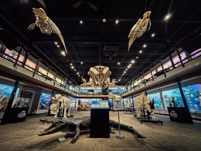 Oklahoma City: SKELETONS: Museum of Osteology Ticket - Who Will Love This Experience?