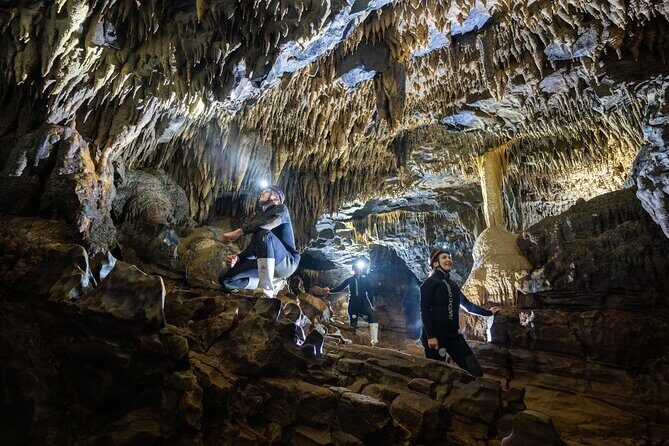 Okohua Glowworm Cave Adventure - Who Should Consider This Tour?