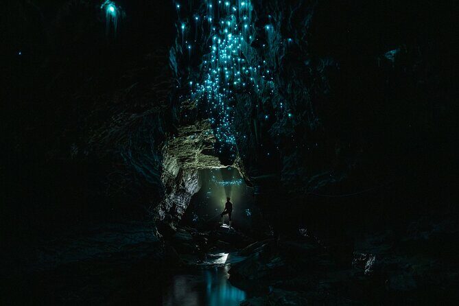 Okohua Glowworm Cave Adventure - FAQ