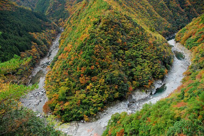 Oku-Iya Cab Plan 6 Hours Course / Tokushima, Shikoku - Key Points