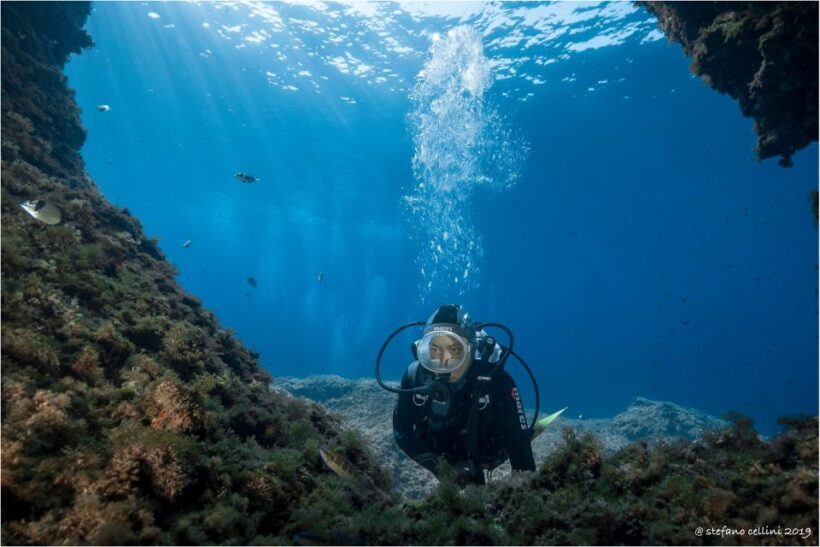 Olbia: Diving in Tavolara Marine Park in Sardinia - What Makes the Marine Park Special?
