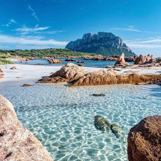 Olbia: Diving in Tavolara Marine Park in Sardinia - The Sum Up: Why This Tour Offers Real Value