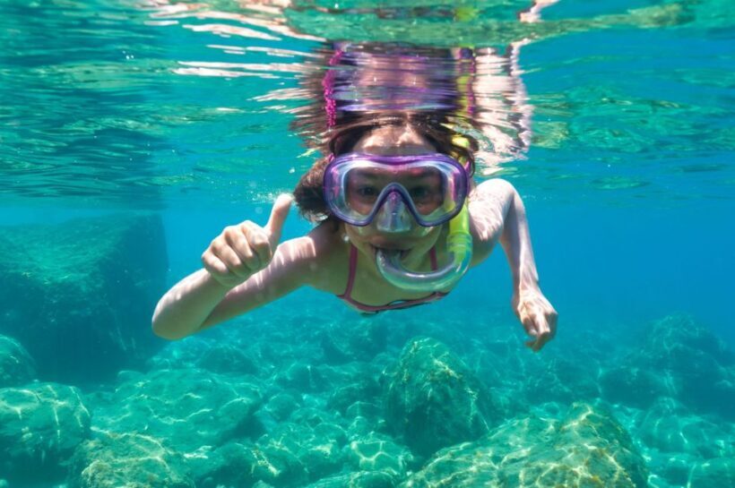 Olbia: Dolphin Watching and Snorkeling Boat Tour - Who Will Love This Tour?