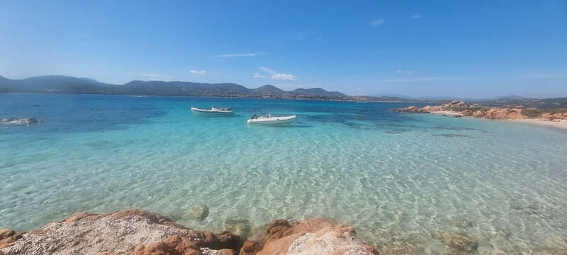 Olbia: Dolphin Watching & Swim and snorkel in Capo Figari - What’s Included and What You Should Consider
