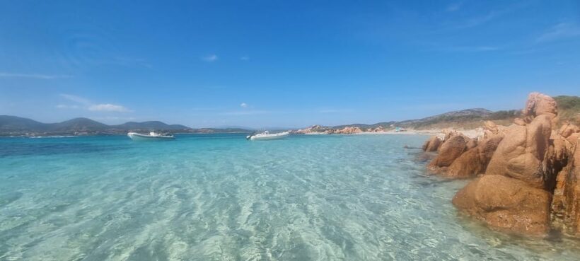 Olbia: Dolphin Watching & Swim and snorkel in Capo Figari - The Sum Up: Who This Tour Is Best For