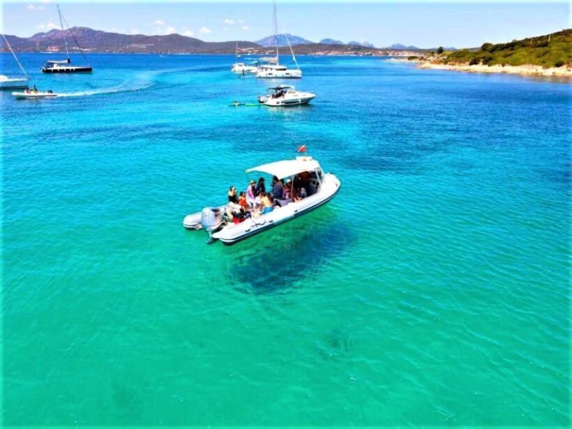 Olbia: Dolphin Watching Tour with Figarolo Island Snorkeling - Who Should Consider This Tour?