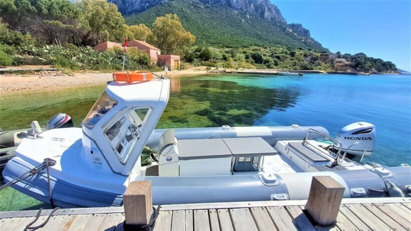 Olbia: Dolphin Watching Tour with Figarolo Island Snorkeling - The Sum Up