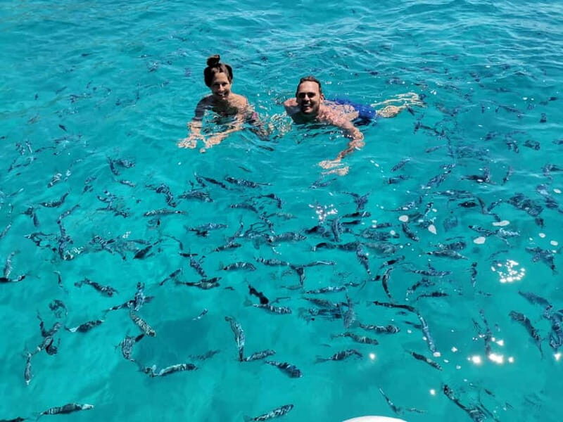 Olbia: Figarolo Island tour and snorkeling with dolphin sighting - The Value of the Experience